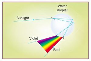 Rainbow: A complete guide into Science behind the Rainbow.
