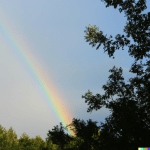 Rainbow: A complete guide into Science behind the Rainbow.